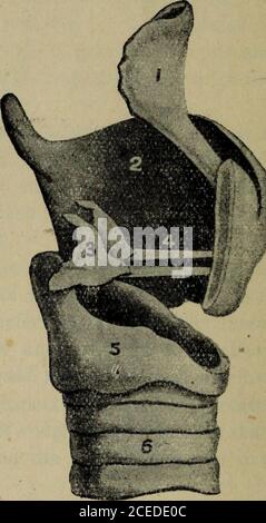 . How to sing : a complete treatise on singing with practical ...