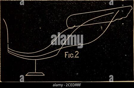 Put the spring back into in your step with a spending spree. Studio ...