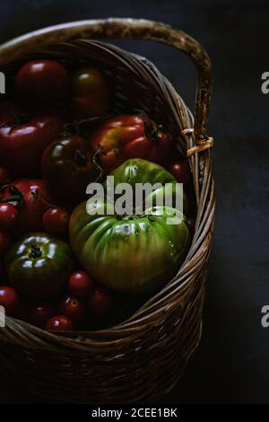 Fresh tomatoes freshly picked from the garden Stock Photo - Alamy