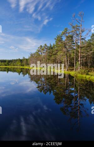 Native forest reflected upon the still loch waters of the Uath Lochans ...