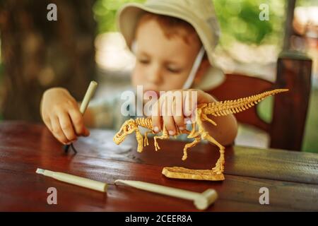 Cute little boy wants to be an archaeologist Stock Photo - Alamy