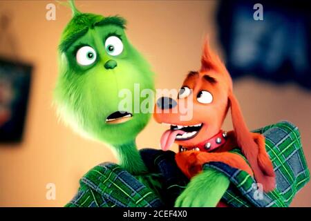 Max the Grinch dog Stock Photo - Alamy