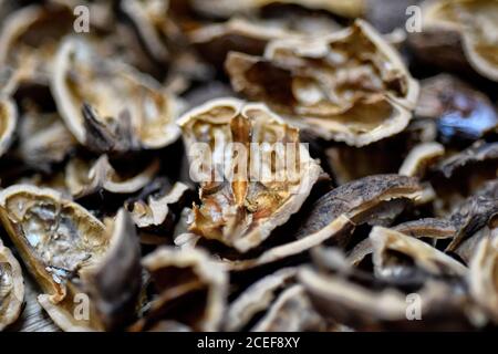 broken walnut shells closeup for backgrounds Stock Photo - Alamy