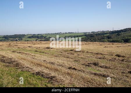 Field of newly cut field of hay Stock Photo - Alamy
