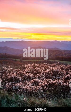Sunrise at Max Patch Stock Photo - Alamy