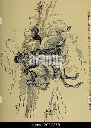 Animals - Horses: Horse called boy George. September 1984 P001903 Stock ...