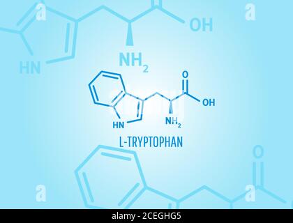 Tryptophan skeletal formula and structure. Vector illustration on white ...