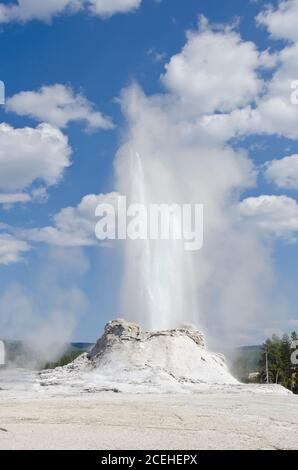 Geyser in Yellowstone National Park in Wyoming Stock Photo - Alamy