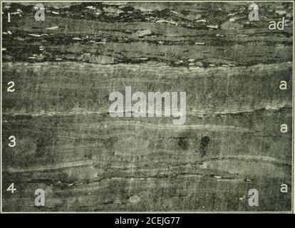 A cross-section of a coal mine showing all the underground chambers and ...