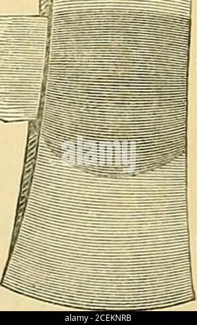 Details of a sawn off tree Stock Photo - Alamy