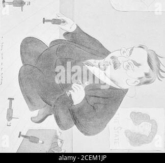 Wilson addressing Congress, 1913 Stock Photo - Alamy