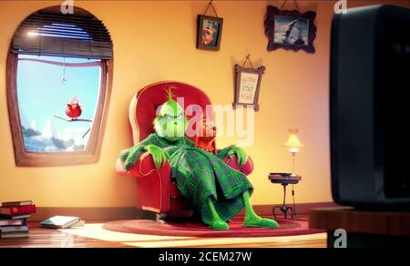 Max the Grinch dog Stock Photo - Alamy