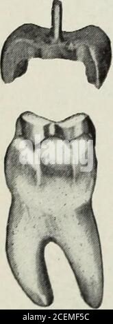 . The Dental cosmos. Fig. 19. Fig. 20. Fig. 21 Stock Photo - Alamy