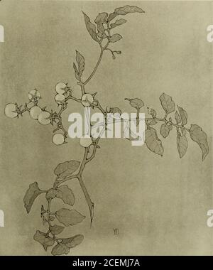 . Keramic studio. -i^^ f o. nURAMIC STUDIO Stock Photo - Alamy