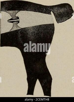 . Successful breeding, the breeder and his horse, the horse as a ...