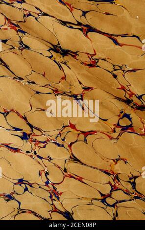 The Right Rev. Dr. Charles Thomas Longley, Archbishop of Canterbury ...