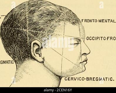 . The science and art of midwifery . -occipito-bregmatic. The OCCipito ...