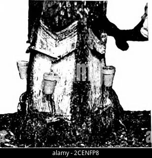 . Agriculture for southern schools. Cuurtesy puiubt Servki;, U. S. Ocpt ...