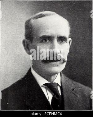 Alexander Hamilton 1903 Stock Photo - Alamy