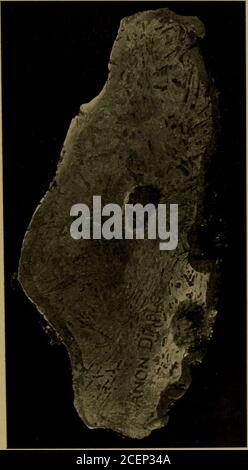 Nickel iron meteorite found in Arizona, USA Stock Photo - Alamy