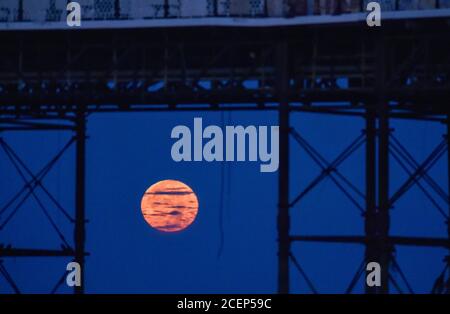 Brighton UK 2nd September 2020 - A Herring Gull seagull is silhouetted ...