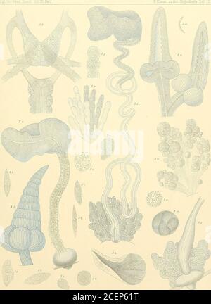 . Svenska vetenskapsakademien handlingar. G Eiaeadel Central itocKholm ...