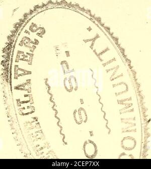 . Spiritual Letters of the Venerable Francis Mary Paul Libermann. BUST ...