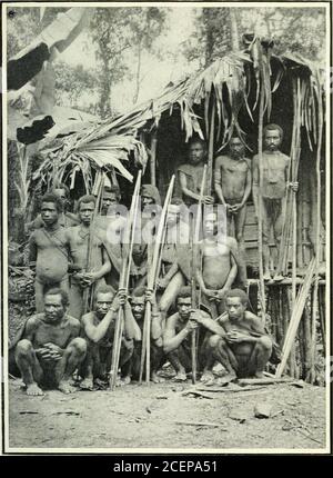 . The land of the New Guinea pygmies; an account of the story of a ...