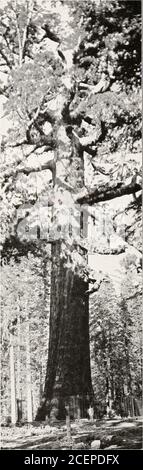 . The national parks portfolio. Photograph by J. T. Boysen Sleighing ...