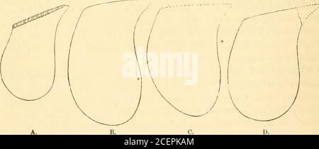 Geology of Oxford and the valley of the Thames Stock Photo - Alamy