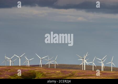 Crystal Rig Wind Farm, Lammermuir Hills, East Lothian, Scotland Stock ...
