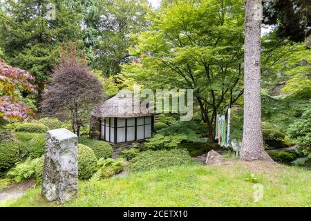 Scenic corner of Japanese Garden with Tea House in Tatton Park, England ...