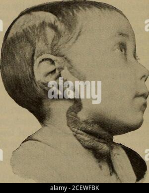 . The ready-reference handbook of diseases of the skin. on., „ . 4 ...