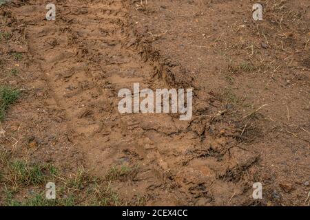 Excavator tracks on the ground texture. Mud ground earth soil trace ...