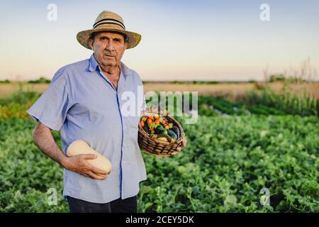 Farmer with wicker basket of vegetables on orange background Stock ...
