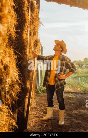 selective focus of rancher in plaid shirt holding bottle and glass of ...