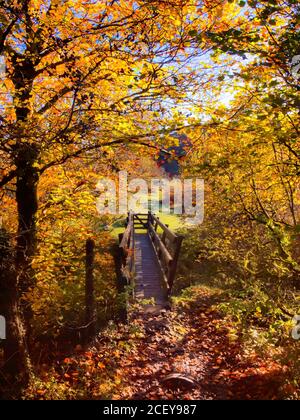 The little Golden Gate Bridge in Eureka, Arkansas, is a 554 foot ...