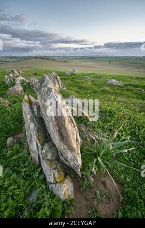 Alentejo Plains, Planicie Alentejana, Portugal Stock Photo - Alamy