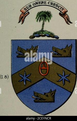 "Records of the clan and name of Fergusson, Ferguson and Fergus;" (1895 ...