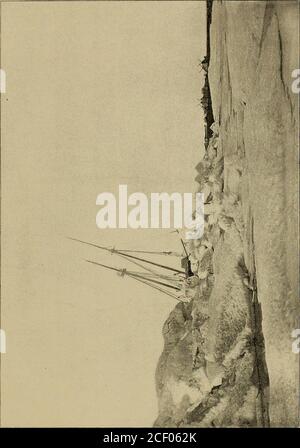 Revenue Cutter Bear, In ice at Point Barrow, Alaska. Photographs of ...