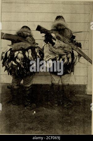 Revenue Cutter Bear, In ice at Point Barrow, Alaska. Photographs of ...
