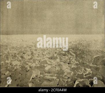 Revenue Cutter Bear, In ice at Point Barrow, Alaska. Photographs of ...