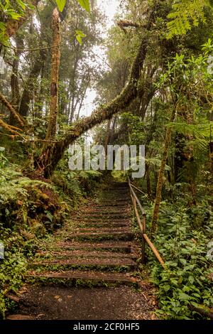 Barva volcano trails, National Park, tourist attraction in the province ...