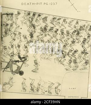 . Ur excavations. THE BODIES IN POSITION IN THE GREAT DEATH-PIT PG/1237 ...