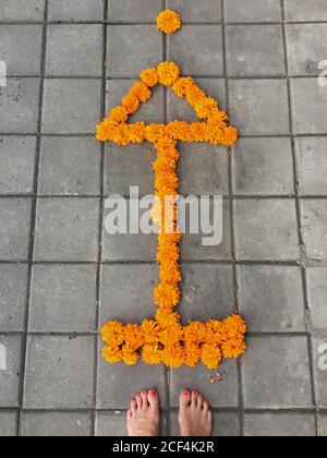 Marigold flowers on the way Stock Photo - Alamy