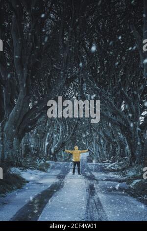 snowy forest in Ireland Stock Photo - Alamy