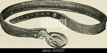 . Abdominal hernia : its diagnosis and treatment. 3. Adjustable pad ...