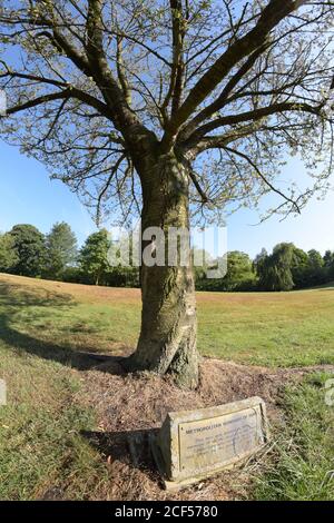 St Mary's Flower Park Prestwich. Prestwich is a town in the ...