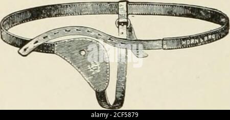 . Abdominal hernia : its diagnosis and treatment. 12. Extension neck ...