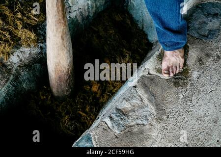 Compost from organic waste. Man throws kitchen vegetable fruit and egg ...